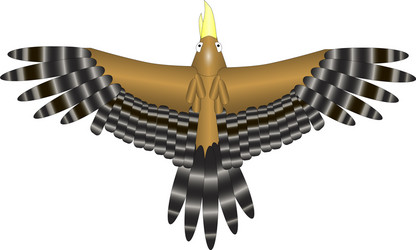 Eagle Top View Vector Images (36)
