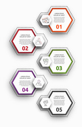 Infographic with 6 pentagons used for six Vector Image