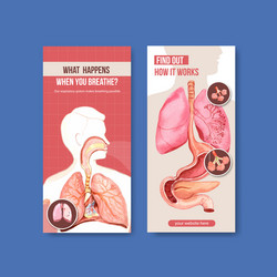 Respiratory flyer design with human anatomy Vector Image