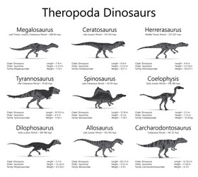 Cladogram theropoda dinosaurs monochrome Vector Image