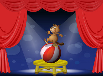Circus Curtain Balancing Vector Images (78)