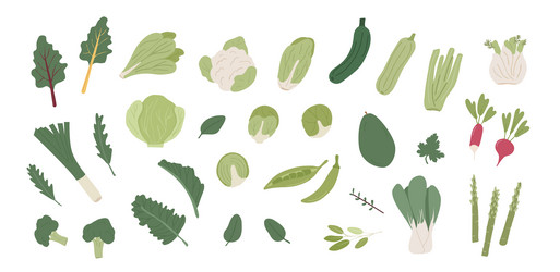 Collection of different vegetables bundle Vector Image