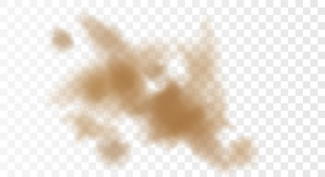 Dust cloud isolated on a transparent background Vector Image