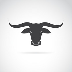 Bull design on white background wild animals Vector Image