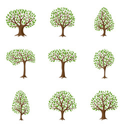 Abstract stylized tree with roots and leaves Vector Image