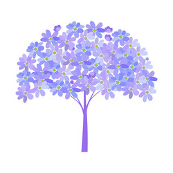 Hepatica Flowers Vector Images (89)