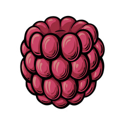 Raspberry with leaf icon raspberry icon Royalty Free Vector