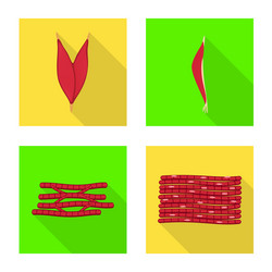 Striated Muscle Vector Images (over 660)