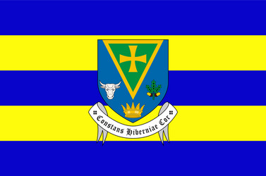 Flag county roscommon in connacht ireland Vector Image