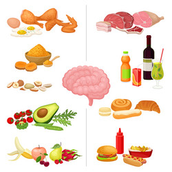 Healthy and bad food for brain infographic Vector Image