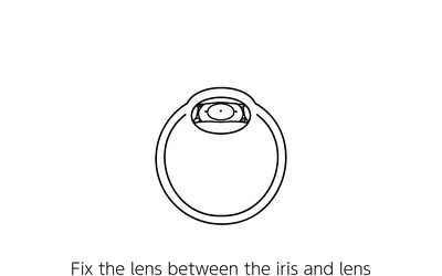 Biocompatibility Vector Images (79)
