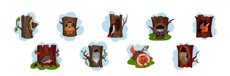 Tree Hole Vector Images (over 2,700)