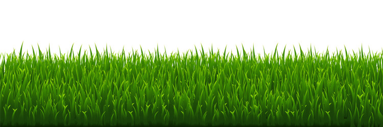 Green grass frame with white background Royalty Free Vector