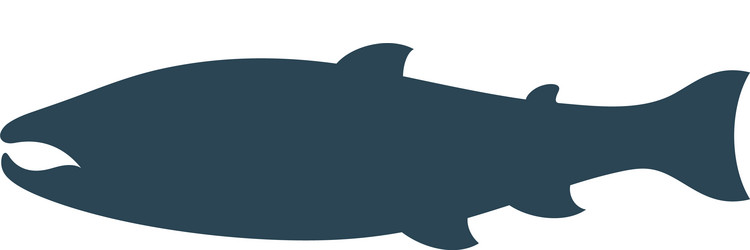 Black salmon shape drawing Royalty Free Vector Image
