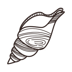 Conch Shell Vector Images (over 7,900)