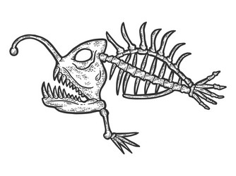 Angler Fish Skeleton Drawing