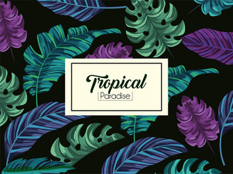Tropical label and exotic leaves background Vector Image