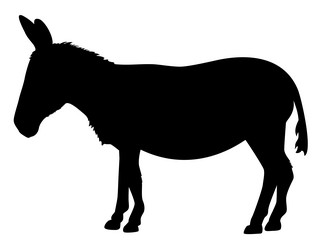 Mule Head Silhouette Vector Images (over 210)