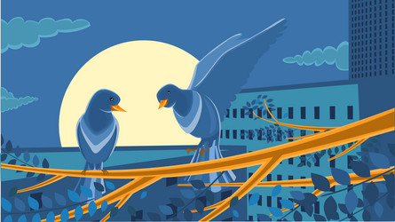 Dawn Vector Images (over 15,000)