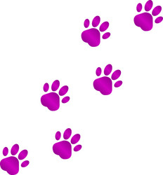 Right Foot Print Vector Images (over 430)