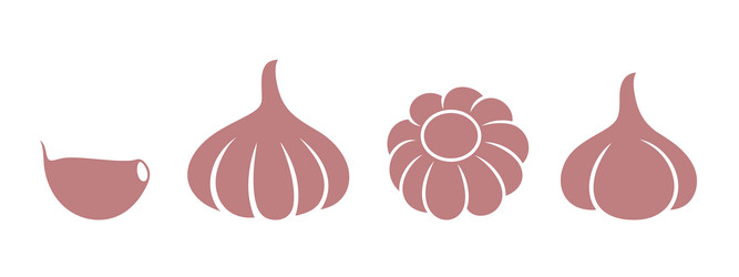Garlic Royalty Free Vector Image - VectorStock
