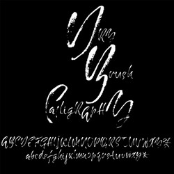 Retro brush script lettering font handwritten Vector Image