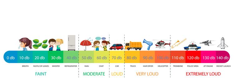 Decibel scale sound levels Royalty Free Vector Image