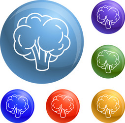 Broccoli icon set realistic style Royalty Free Vector Image