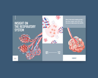 Respiratory flyer design with human anatomy Vector Image