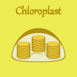 Icon in flat style chloroplast Royalty Free Vector Image