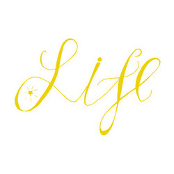 Life handwritten lettering careless inscription Vector Image