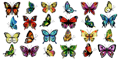 Multicolored Butterflies Set Royalty Free Vector Image
