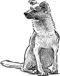 Sketch of sitting dog from back hand drawn Vector Image