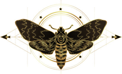 Golden moth over sacred geometry sign isolated Vector Image