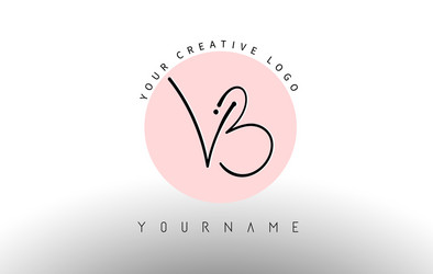 Creative golden letters vb v b logo with leading Vector Image