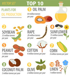 Top 10 plants for vegetable oil production Vector Image