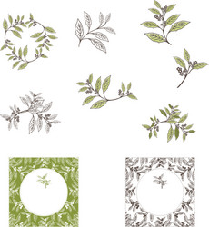 Yerba mate set background Royalty Free Vector Image