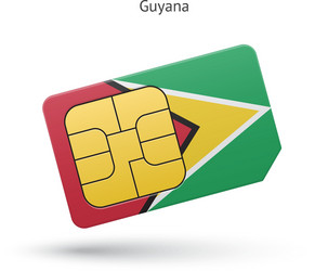 Guyana flag on a white Royalty Free Vector Image