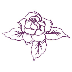 Rose flower line art in realistic style image Vector Image