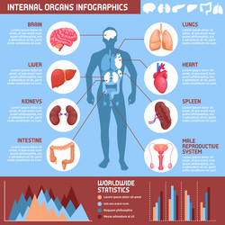 Reproductive System Infographics Vector Images (over 670)