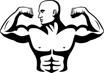 Flexing Muscles Vector Images (over 2,400)