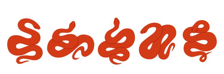 Chinese twisted snake Royalty Free Vector Image