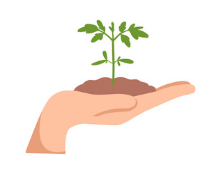 Care of the plant planting hands adult Royalty Free Vector