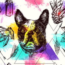 Wolf Arrows Vector Images (over 300)