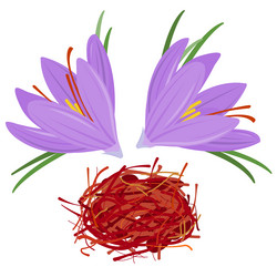 Saffron Vector Images (over 7,800)