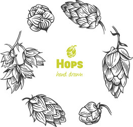 Hops Vector Images (over 43,000)
