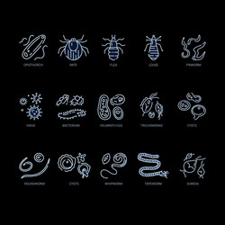 Human parasites set linear icons Royalty Free Vector Image