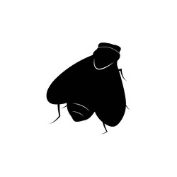 Flies icon template Royalty Free Vector Image - VectorStock