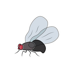 Flies icon template Royalty Free Vector Image - VectorStock