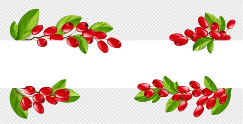 Berry Border Vector Images (over 14,000)